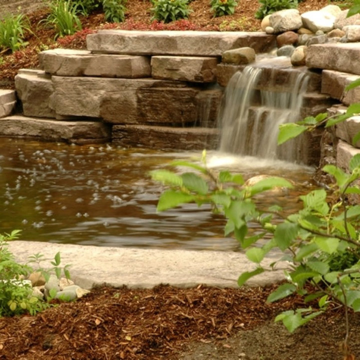 Front Yard Ponds - Photos & Ideas | Houzz
