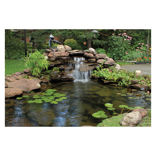 Ponds/ Watergardens - Contemporary - Landscape - Atlanta - by Serenity ...