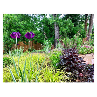 Pool-side Color Garden. - Contemporary - Landscape - Charlotte - by Jay ...