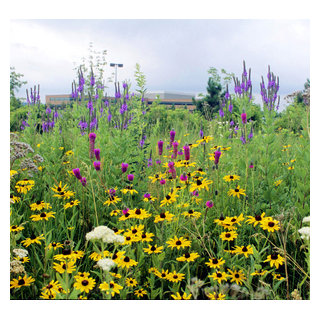 Prairie Projects - Rustic - Landscape - Minneapolis - by Prairie ...