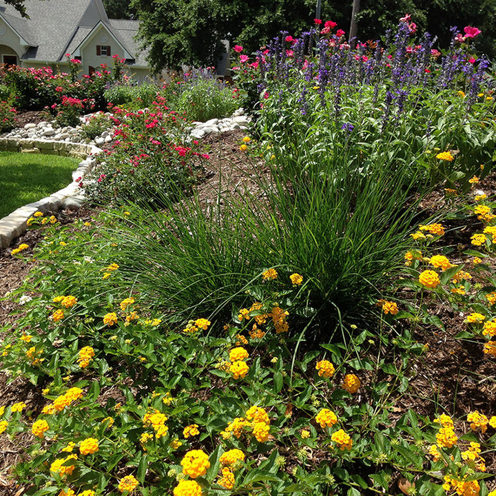 Privacy Berm - Photos & Ideas | Houzz