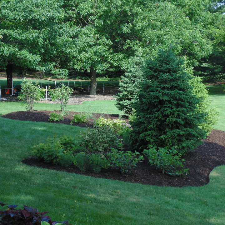 Privacy Berm - Photos & Ideas | Houzz