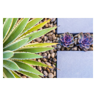 Private Residence-Irvine - Modern - Landscape - Orange County - by ...