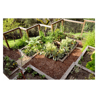 Production Garden - Traditional - Landscape - San Francisco - by ...