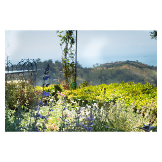 Provence comes to California - Mediterranean - Landscape - Santa ...