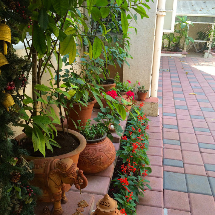 Indian Garden Design Ideas, Inspiration & Images - August 2022 | Houzz IN