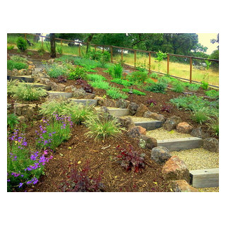 Railroad tie steps - Traditional - Landscape - San Francisco - by ...