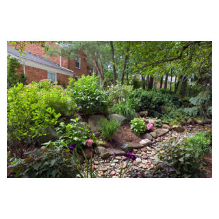 Rain Garden - Traditional - Landscape - Seattle - by Veth's Landscaping ...