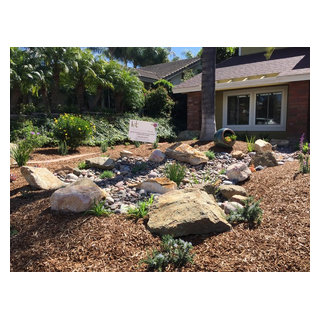 Rain Water Swale and Lawn Removal - Traditional - Landscape - San Diego ...