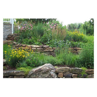 Rainwater Conscious Landscape Features - Landscape - Other - by ...