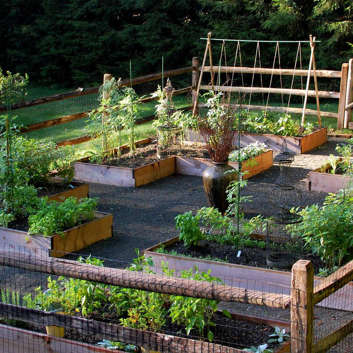75 Vegetable Garden Landscape Ideas You'll Love - April, 2022 | Houzz