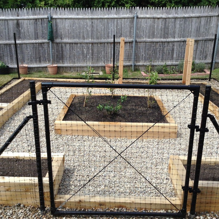 Raised Bed Vegetable Garden Layout - Photos & Ideas | Houzz