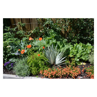 Raised Vegetable Bed / Ornamental Garden 2016copyright 2017 Glenna ...