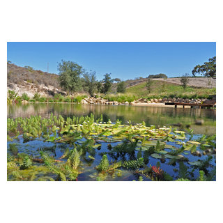 Ranch Reservoir & Nectar Garden w/ BioHaven Floating Island - Asian ...