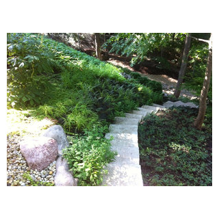 Ravine Restoration and Stabilization - Traditional - Landscape ...