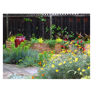 Residential - Contemporary - Landscape - San Francisco - by Verdance ...