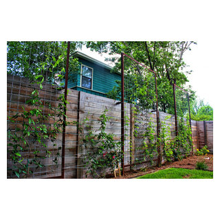 Ridgetop Modern Makeover - Modern - Landscape - Austin - by Native Edge ...