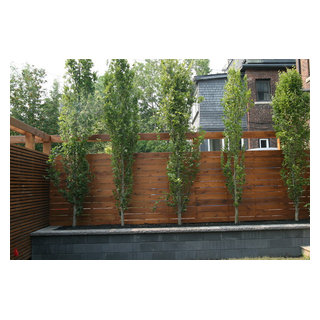 Riverdale - Contemporary - Landscape - Toronto - by Sharon Fleming ...
