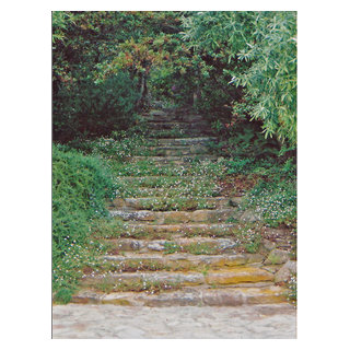 Robert Shuler Design - Mediterranean - Landscape - San Francisco - by ...