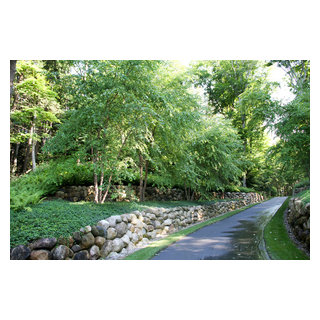 Rock Star, Transitional Cottage Boyne City - トラディショナル - 庭 - サンディエゴ ...