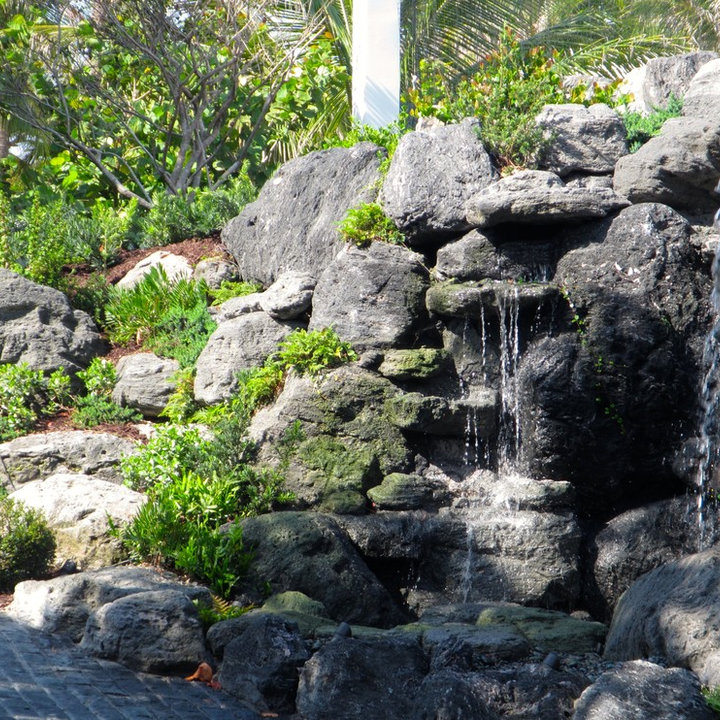 Florida Rock Garden - Photos & Ideas | Houzz