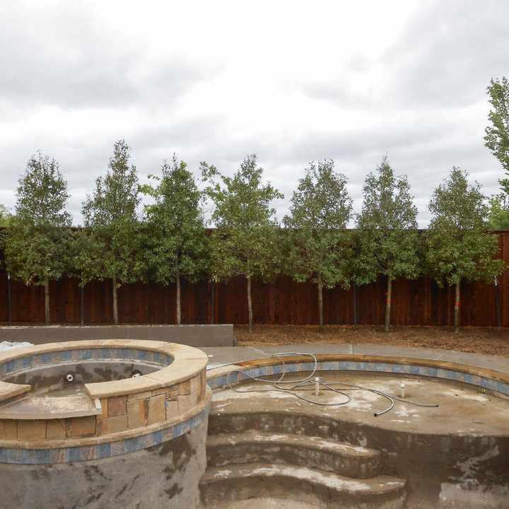 Eagleston Holly - Photos & Ideas | Houzz