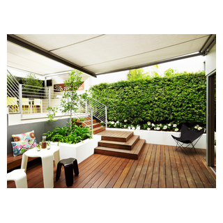 Rozelle functional garden - Contemporary - Landscape - Sydney - by ... Rozelle functional garden - Contemporary - Landscape - Sydney - by ...