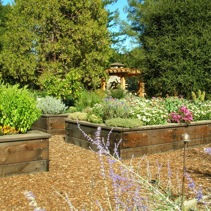 75 Hochbeet Garten Ideen & Bilder | Houzz