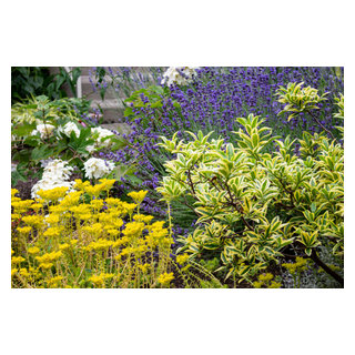 Sabin Habitat Garden - Contemporary - Landscape - Portland - by ...