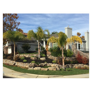 San Ramon, Crested Oak Court. Rockwalls & Palm Trees - Mediterranean ...