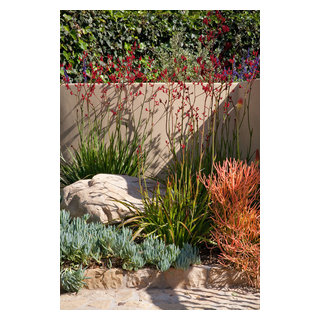 San Roque Get-a-Way - Contemporary - Landscape - Santa Barbara - by ...