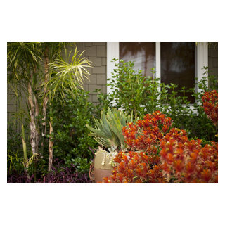 Santa Barbara - Landscape - Santa Barbara - by Scott Menzel Landscape ...