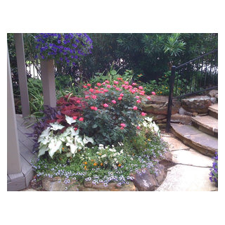 Seasonal Color - Traditional - Landscape - Dallas - by User | Houzz