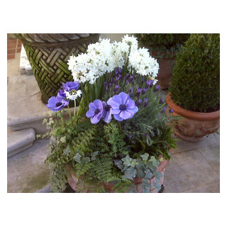 Seasonal Color - Traditional - Landscape - Dallas - by Texas Garden ...