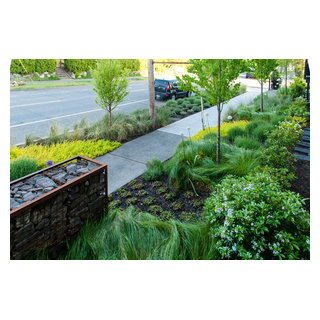 Seattle Hilltop - Contemporary - Landscape - Seattle - by SCJ Studio ...