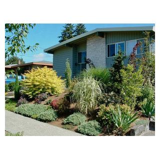 Seattle Midcentury Architectural Garden (after) - Midcentury ...