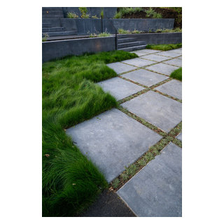 Serpentine - Modern - Landscape - San Francisco - by Seed Studio ...
