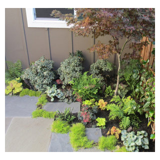 Shaded Entry Courtyard - Contemporary - Landscape - San Francisco - by ...