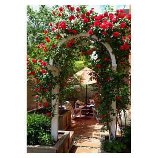 Shaker Heights Rooftop - Traditional - Landscape - Cleveland - by ...