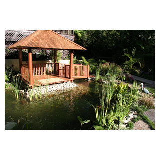 Sherman Oaks Hills - Tropical - Landscape - Los Angeles - by Tropical ...