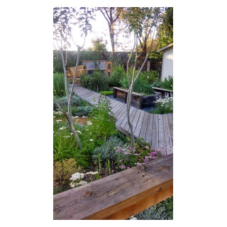 Shoestring eco-paradise and plant experimentation station ...