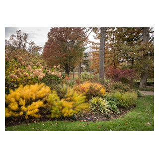 Shrub border in fall - Contemporary - Landscape - DC Metro - by Everett ...
