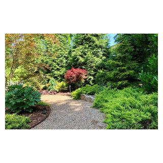 Side yard study in texture and color. - Eclectic - Garden - Charlotte ...