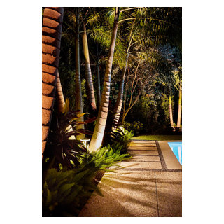 Simply Modern Oasis - Modern - Garden - Tampa - by Dennis A Barth ...