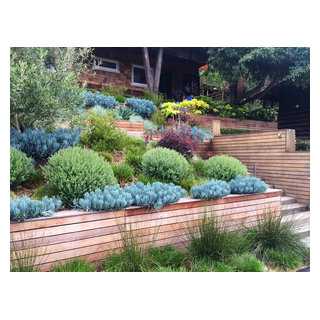 Slope Planting - Craftsman - Landscape - San Francisco - by Garden ...