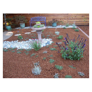 Small Garden Lawn Replacement - Contemporary - Landscape - San ...