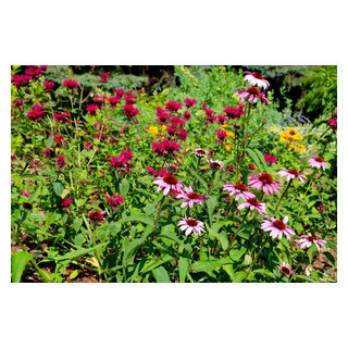 Softscape (Flowers, Flower beds and more) - Traditional - Landscape ...