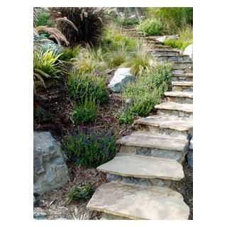 Solana xeriscape, cameron flagstone, drought tolerant, terrace ...