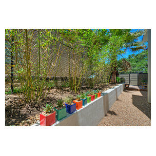 South Austin Cool - Contemporary - Landscape - Austin - by Pearson ...