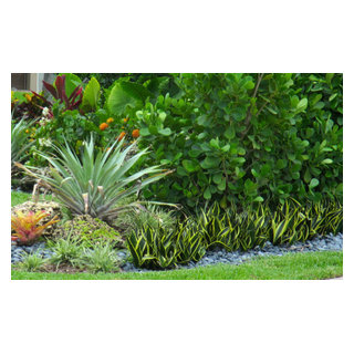 South Florida Landscaping Ideas - Tropical - Landscape - Miami - by ...